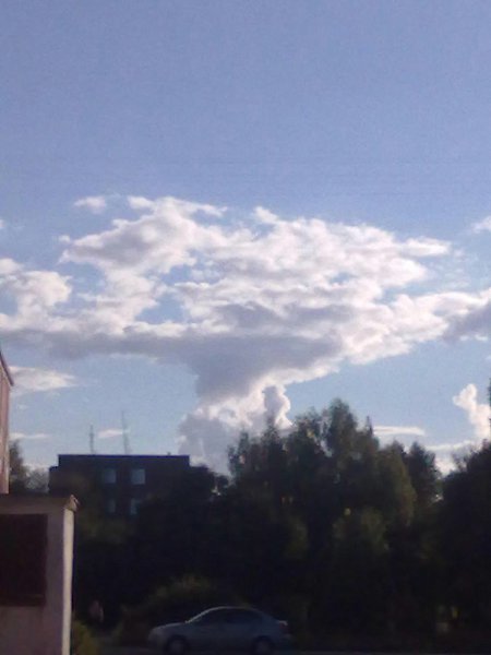 Александр Телец, Украина, Чернигов Знакомства ID 69640320 – Фотострана
