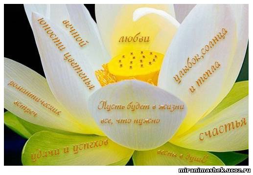 Gulzhan - Симпатия ! опубликовал пост от 13 июля 2014 в 10:58 ...